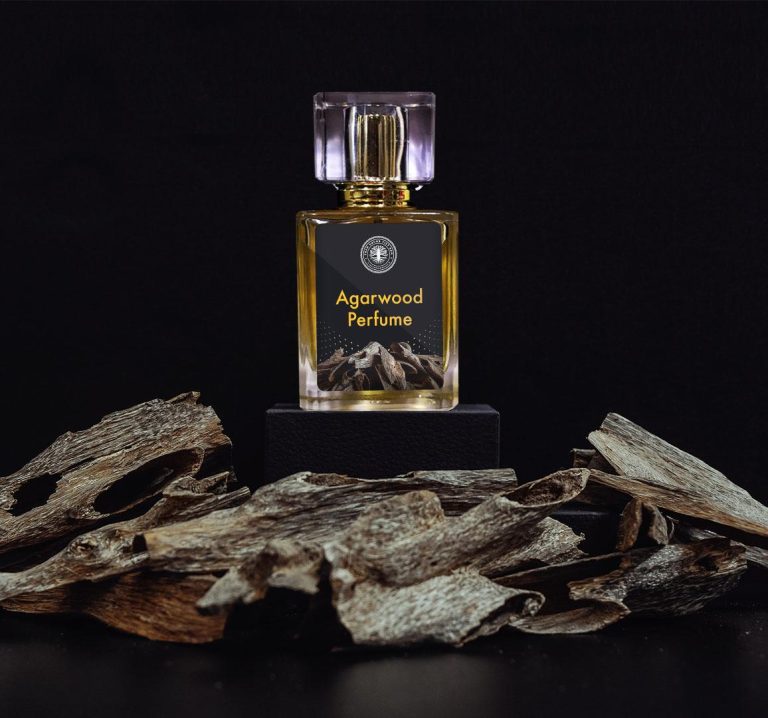 Oud Essential Oil – Production Process & Top Uses