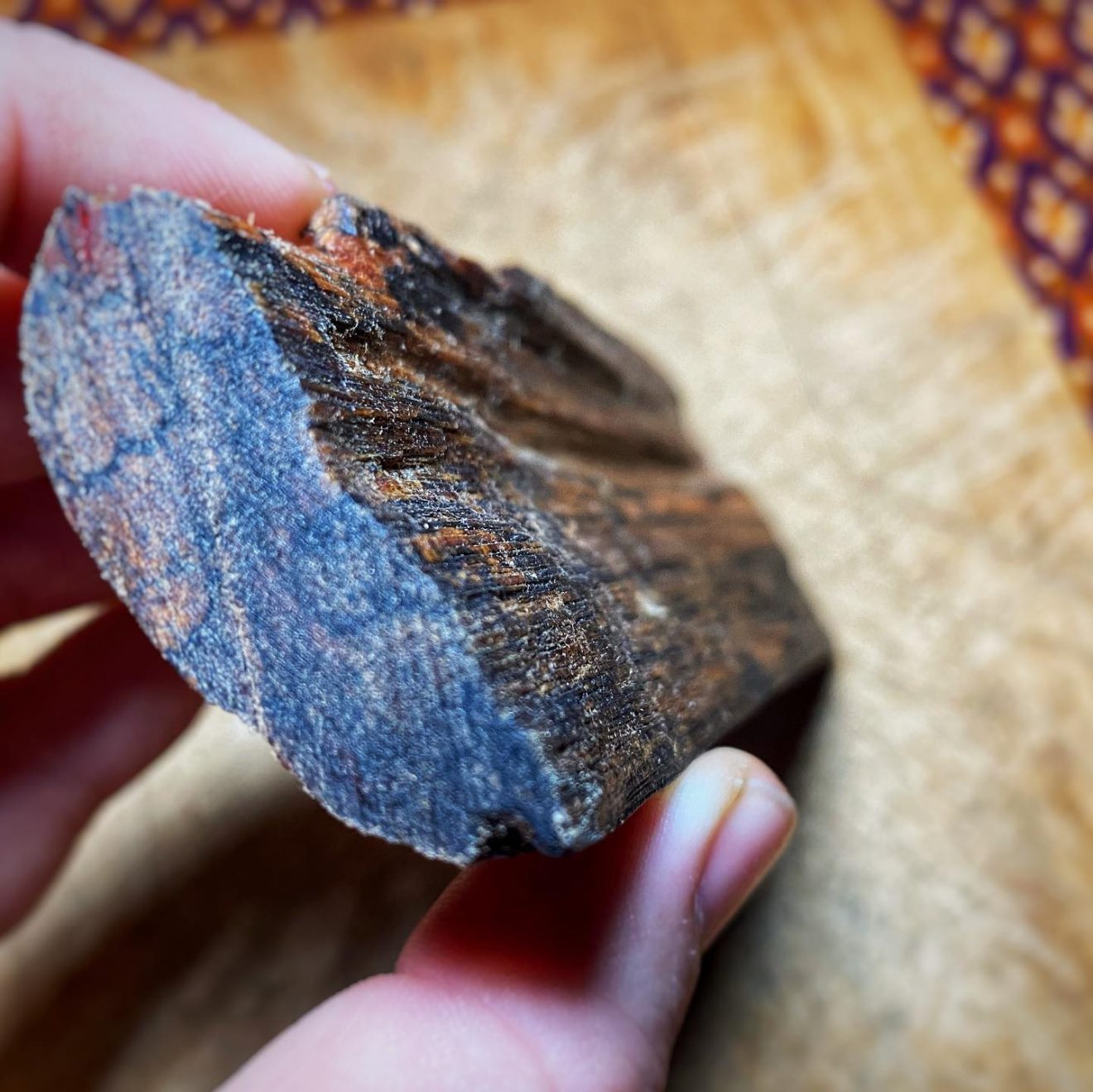 Types of Agarwood – Identification & Key Characteristics