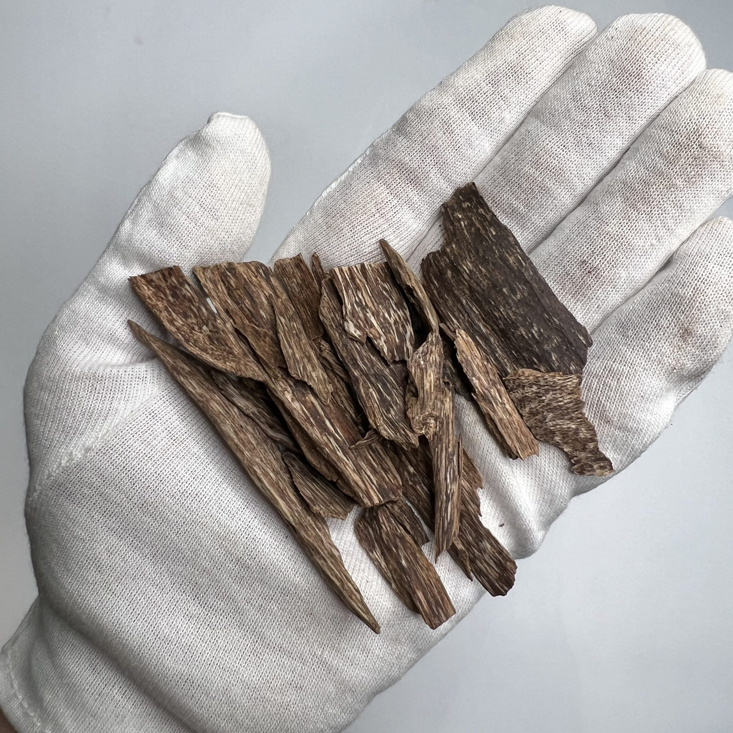 Vietnamese Ant Nest Agarwood Fragments – Premium Natural Incense